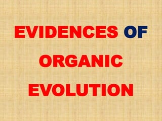 Evidences of Organic Evolution | PDF