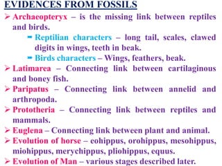 Evidences of Organic Evolution | PDF
