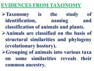 Evidences of Organic Evolution | PDF