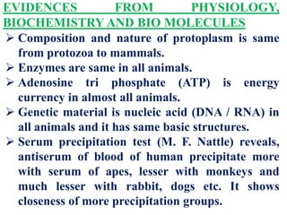 Evidences of Organic Evolution | PDF