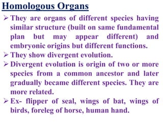 Evidences of Organic Evolution | PDF