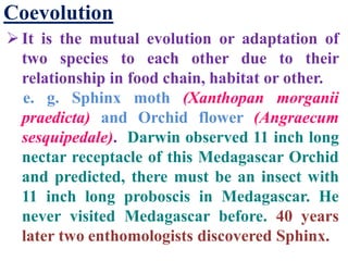 Evidences of Organic Evolution | PDF