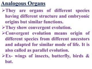 Evidences of Organic Evolution | PDF