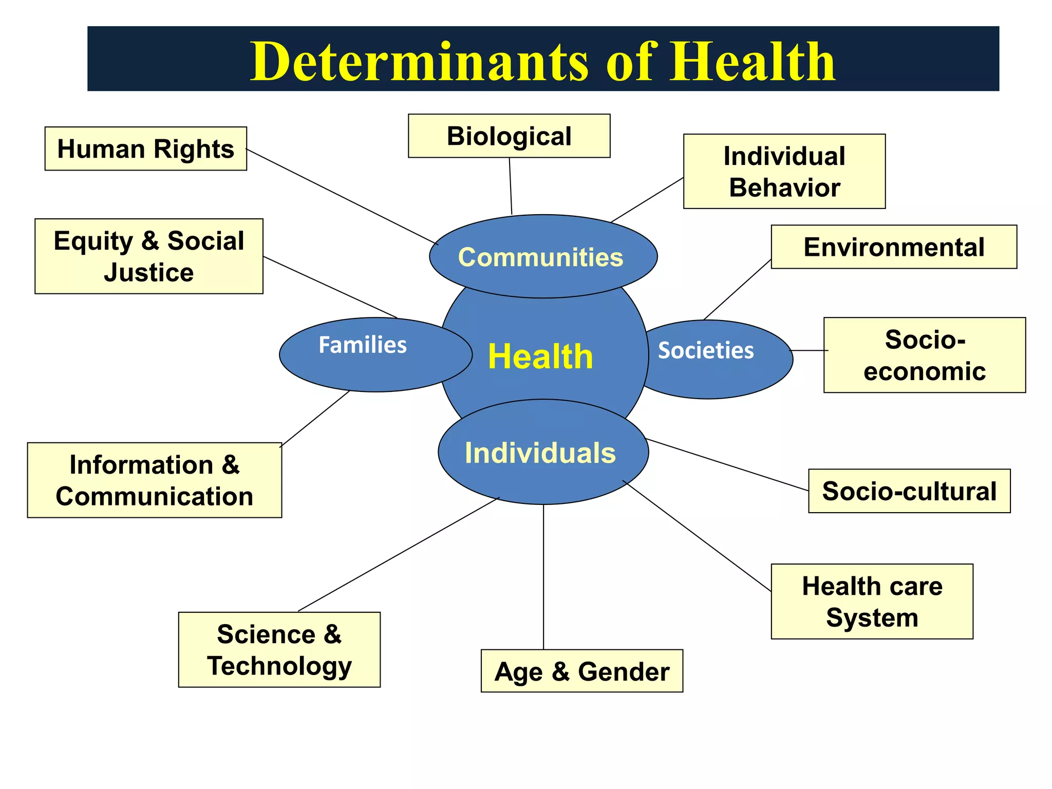 Determinant of health | PPT
