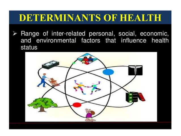 Determinant of health | PPT | Medical Health
