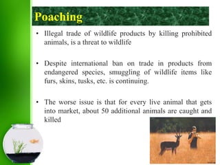 Biodiversity hotspot, threats & its conservation | PPTX