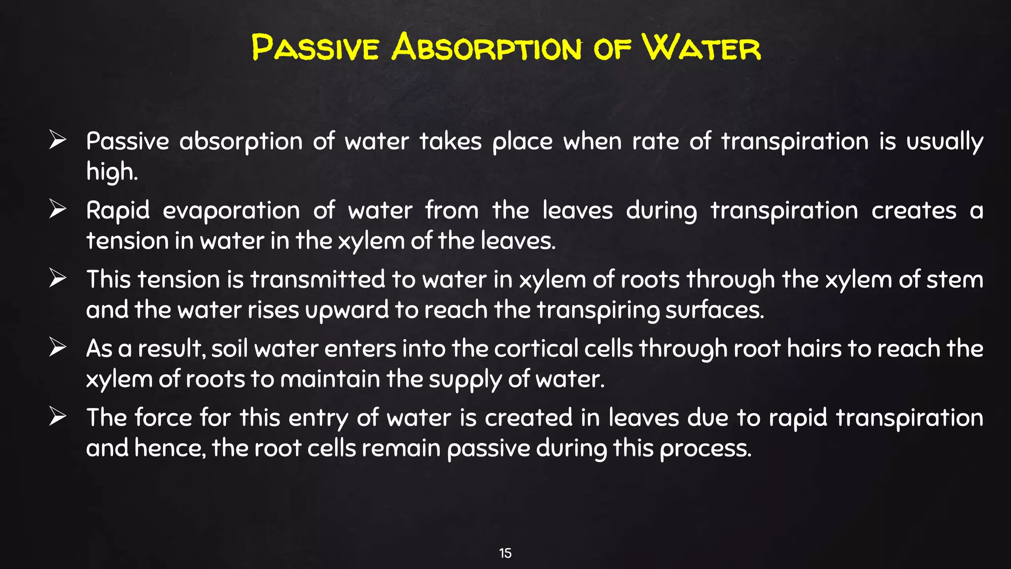 Absorption of water | PPTX
