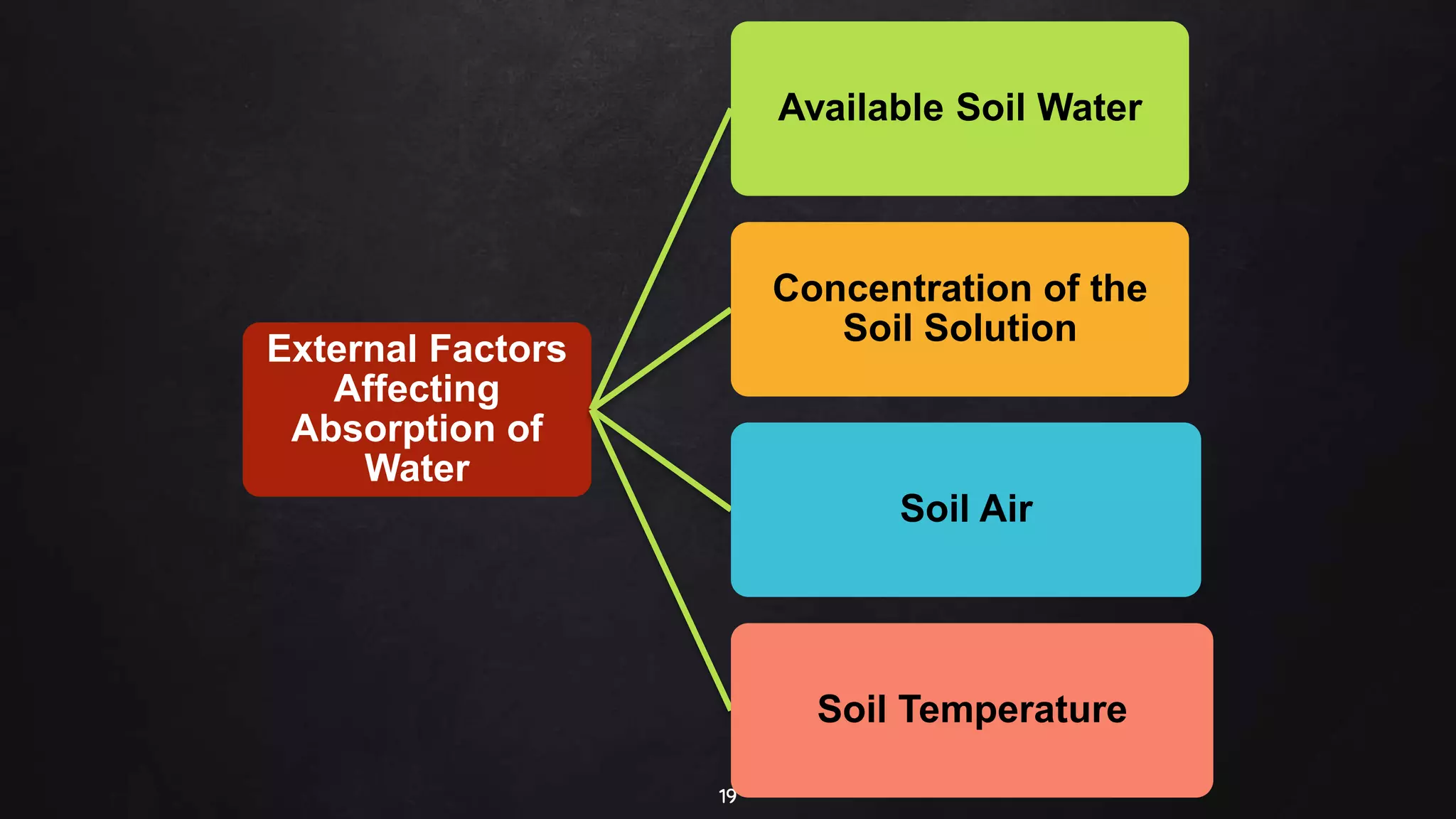 Absorption of water | PPTX