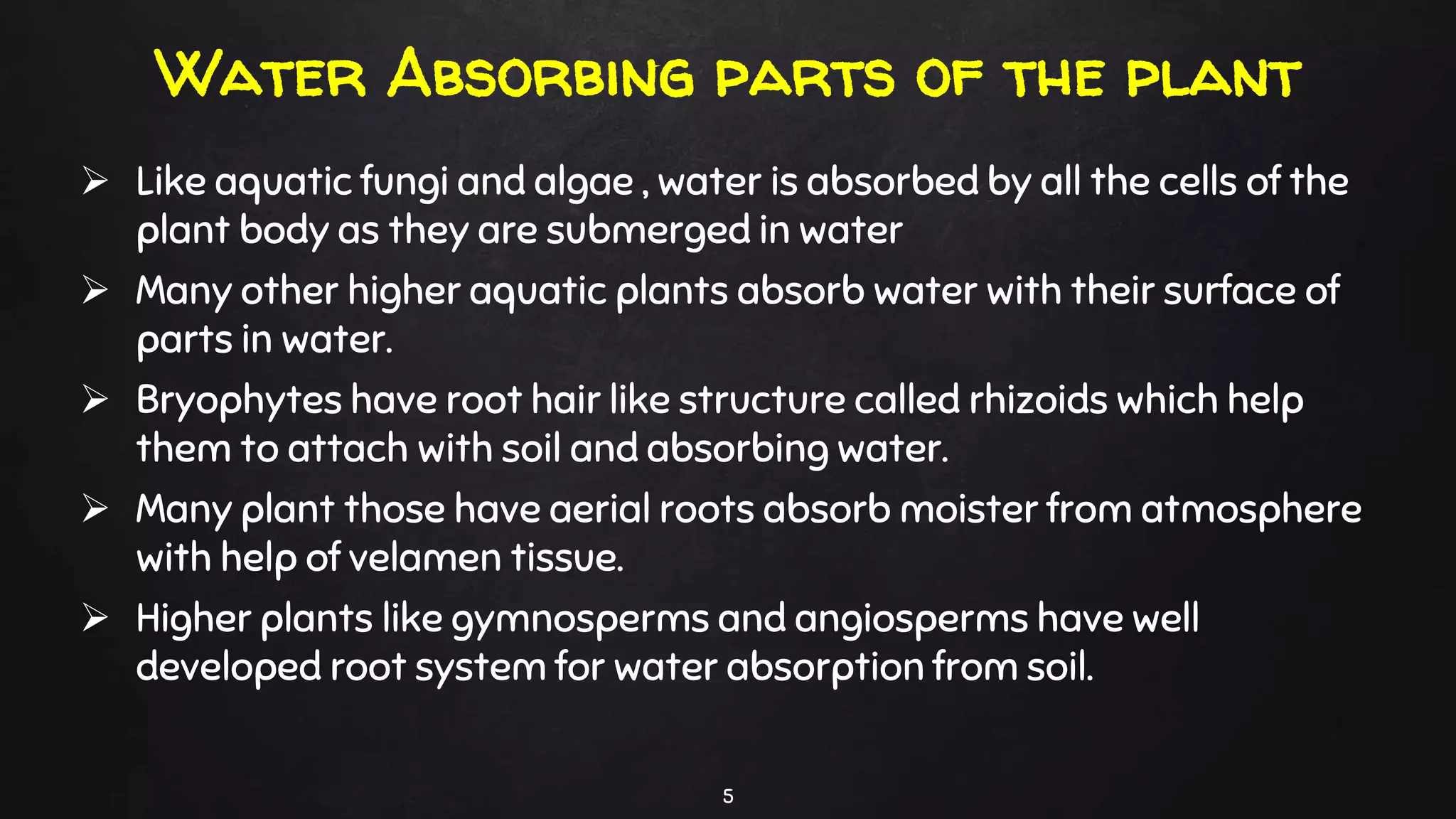 Absorption of water | PPTX