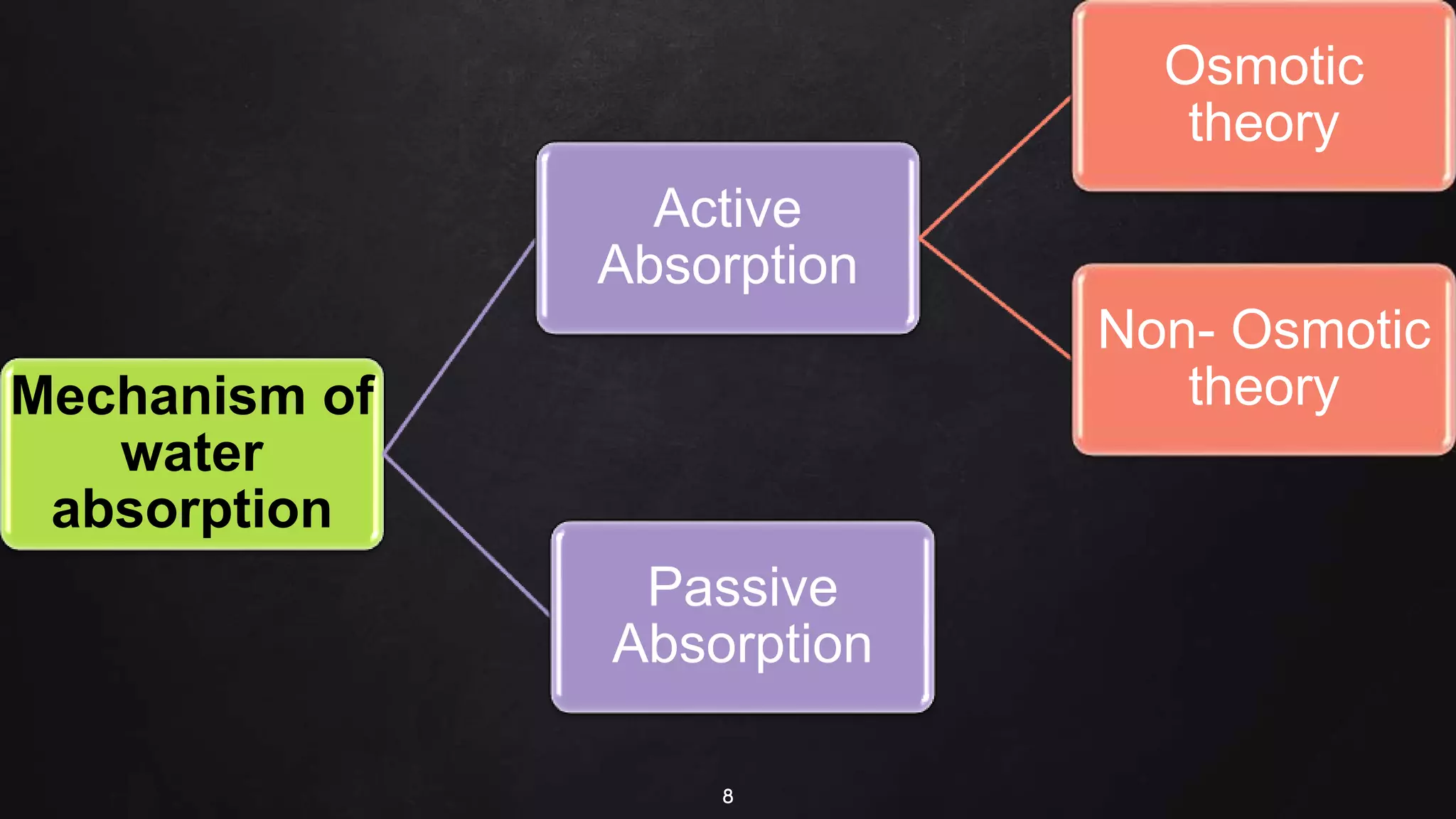 Absorption of water | PPTX