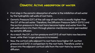 Absorption of water | PPTX