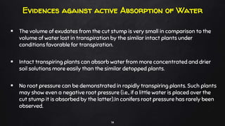 Absorption of water | PPTX