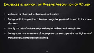 Absorption of water | PPTX