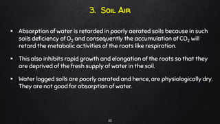 Absorption of water | PPTX | Gardening | Home & Garden
