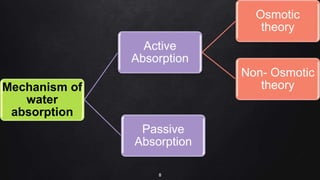 Absorption of water | PPTX