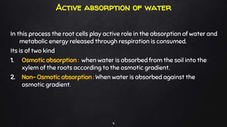 Absorption of water | PPTX