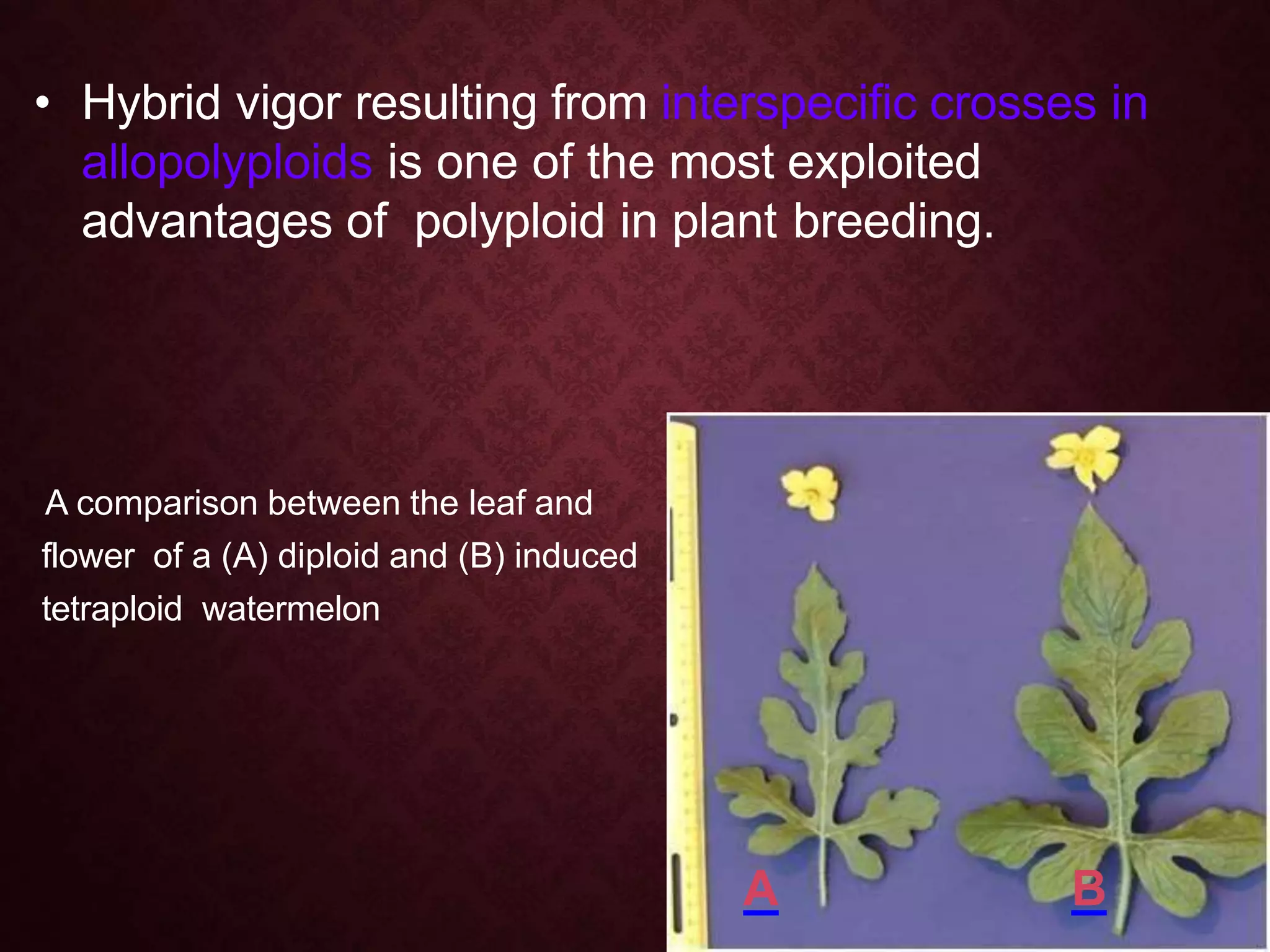 Polyploidy, Mutation and Hybridization with reference to Medicinal ...
