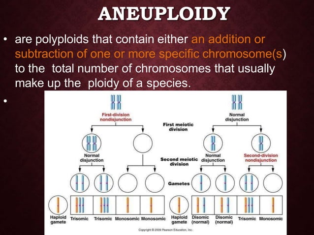 Polyploidy, Mutation and Hybridization with reference to Medicinal ...
