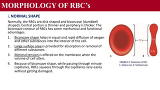 Physiology of Blood | PPTX