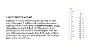Physiology of Blood | PPT