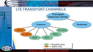 LTE Radio Interface | PPT