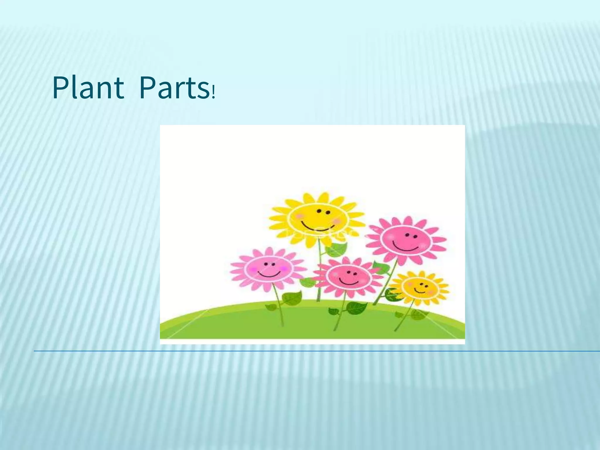 4.4 plant parts powerpoint | PPT