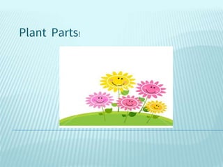 4.4 plant parts powerpoint | PPT