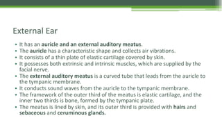 The Ear | PPTX