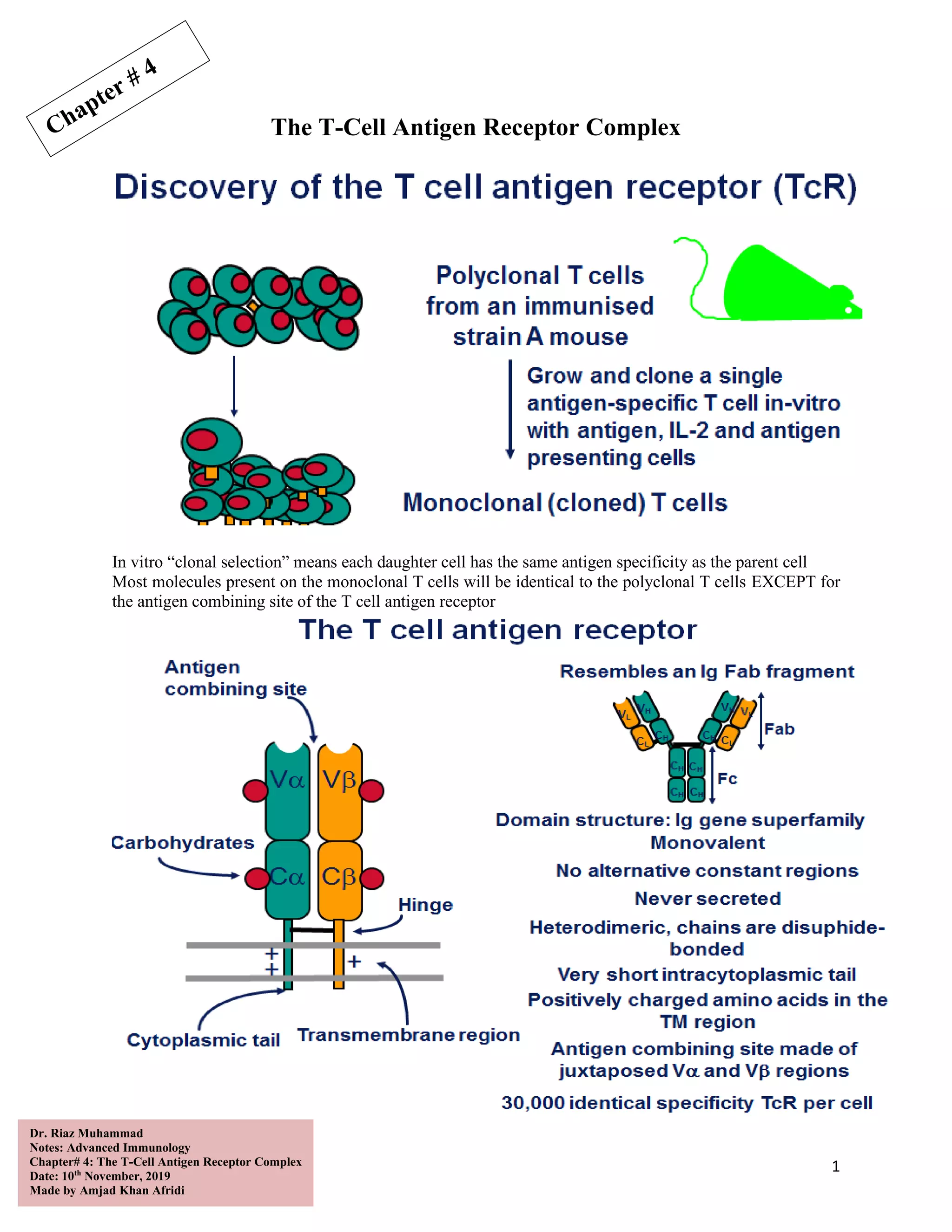 The T-Cell Antigen Receptor Complex | PDF