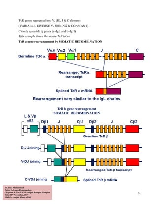 The T-Cell Antigen Receptor Complex | PDF