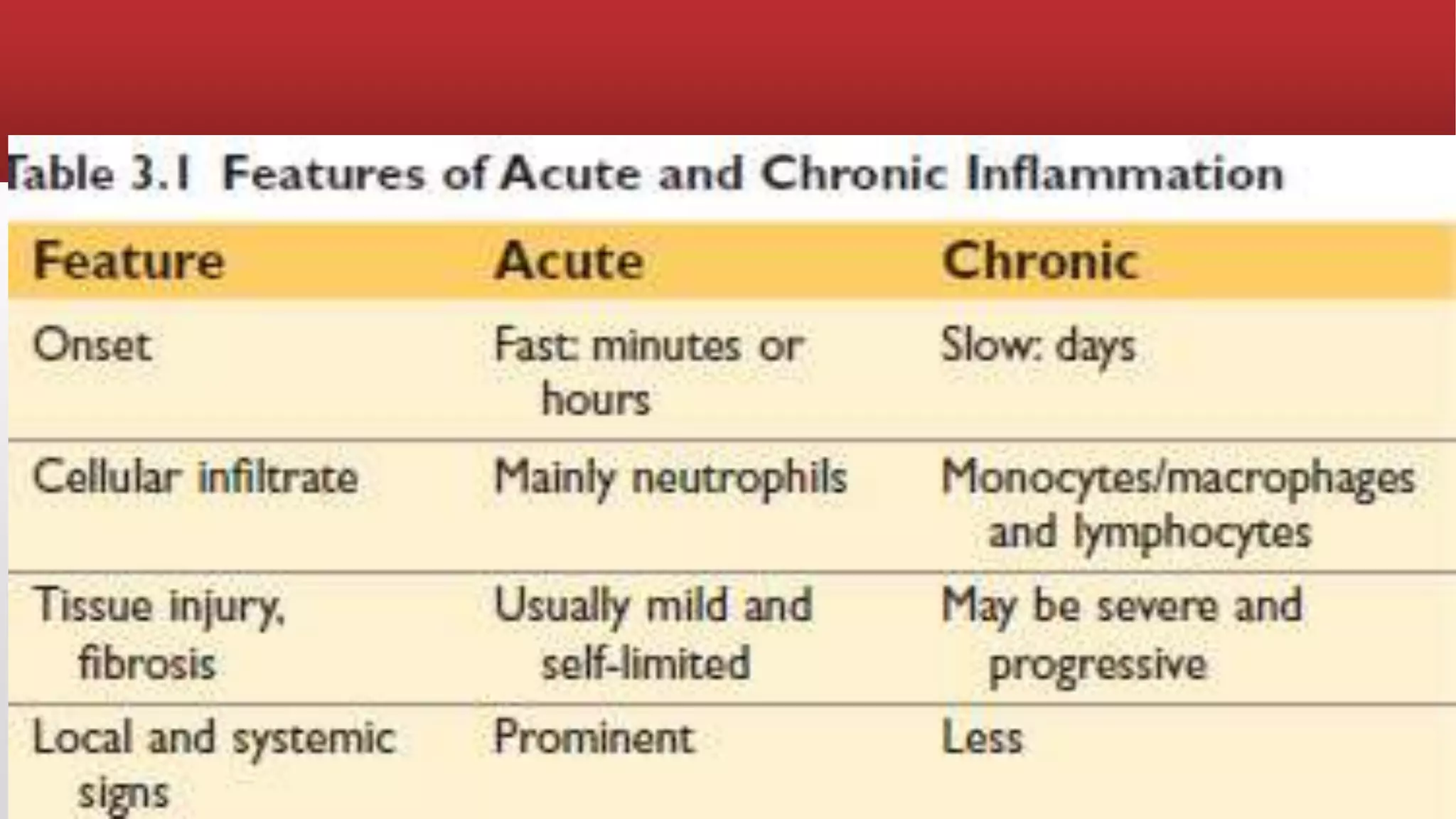 Basic Features of Inflammation and Repair | PPTX