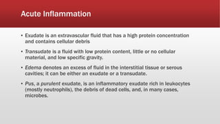 Basic Features of Inflammation and Repair | PPTX