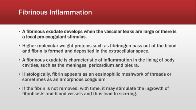 Basic Features of Inflammation and Repair | PPT