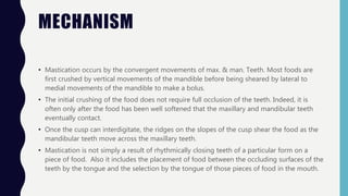 Mastication, orientatory lines and dental xray | PPT