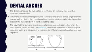 Mastication, orientatory lines and dental xray | PPT