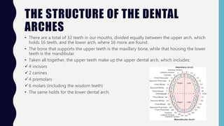 Mastication, orientatory lines and dental xray | PPT
