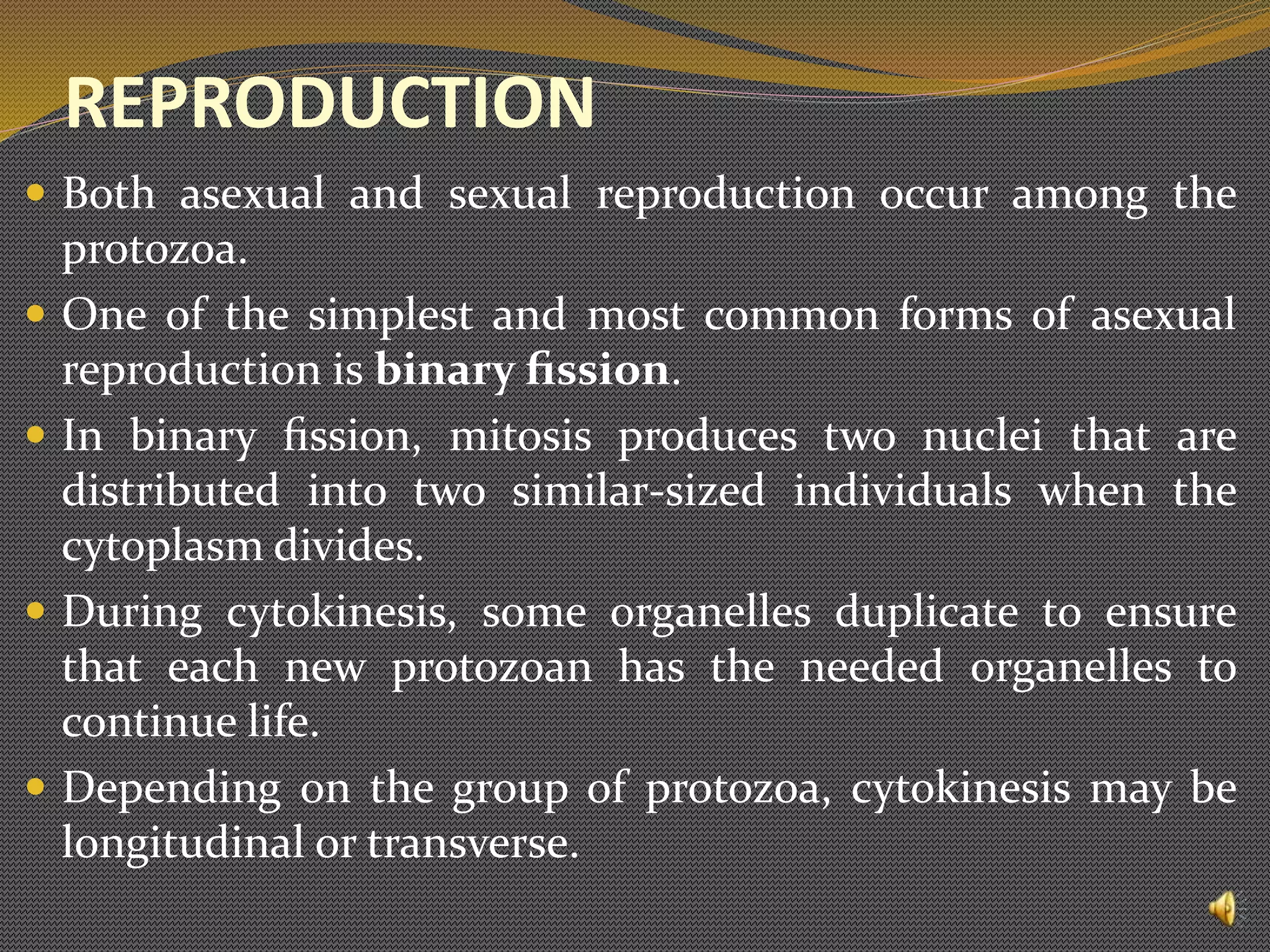 Animal like protist the protozoa | PPTX
