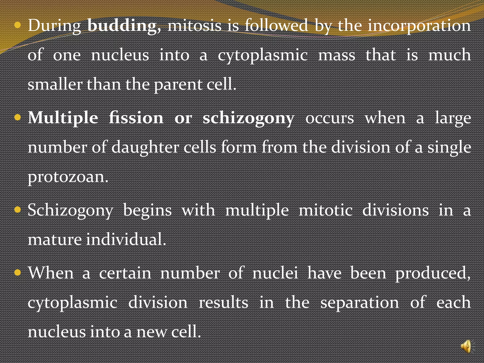 Animal like protist the protozoa | PPTX