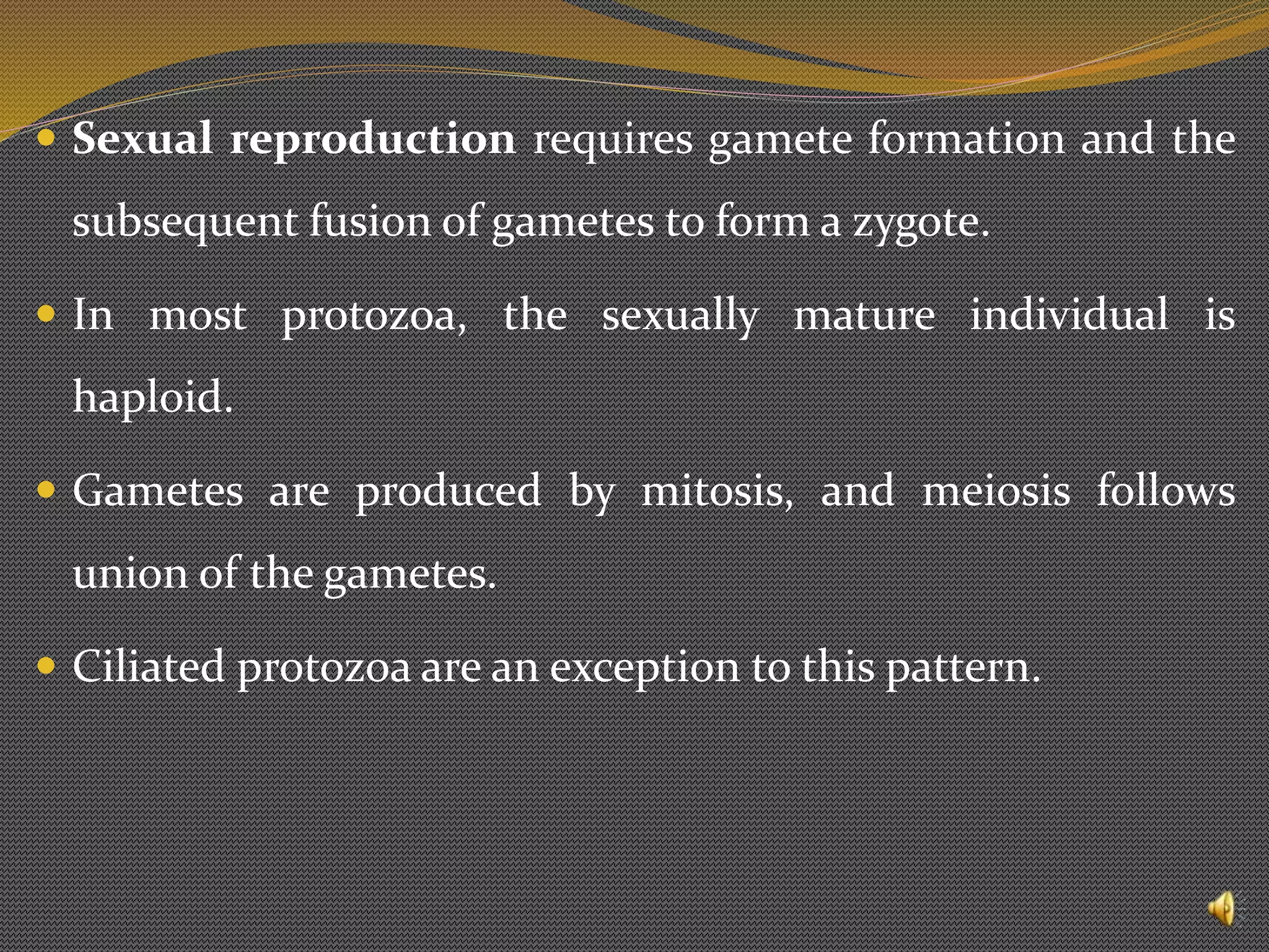Animal like protist the protozoa | PPTX