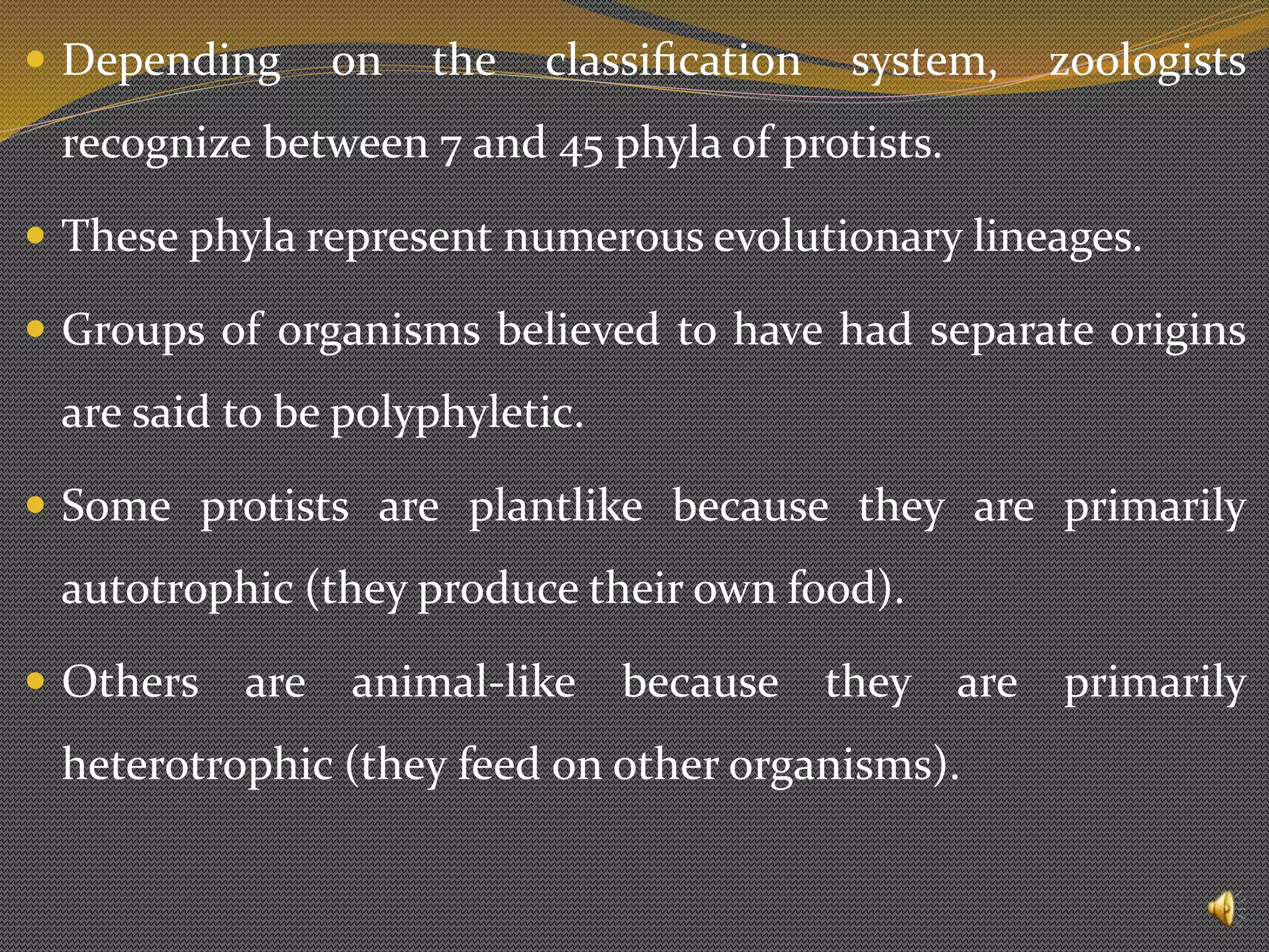 Animal like protist the protozoa | PPTX