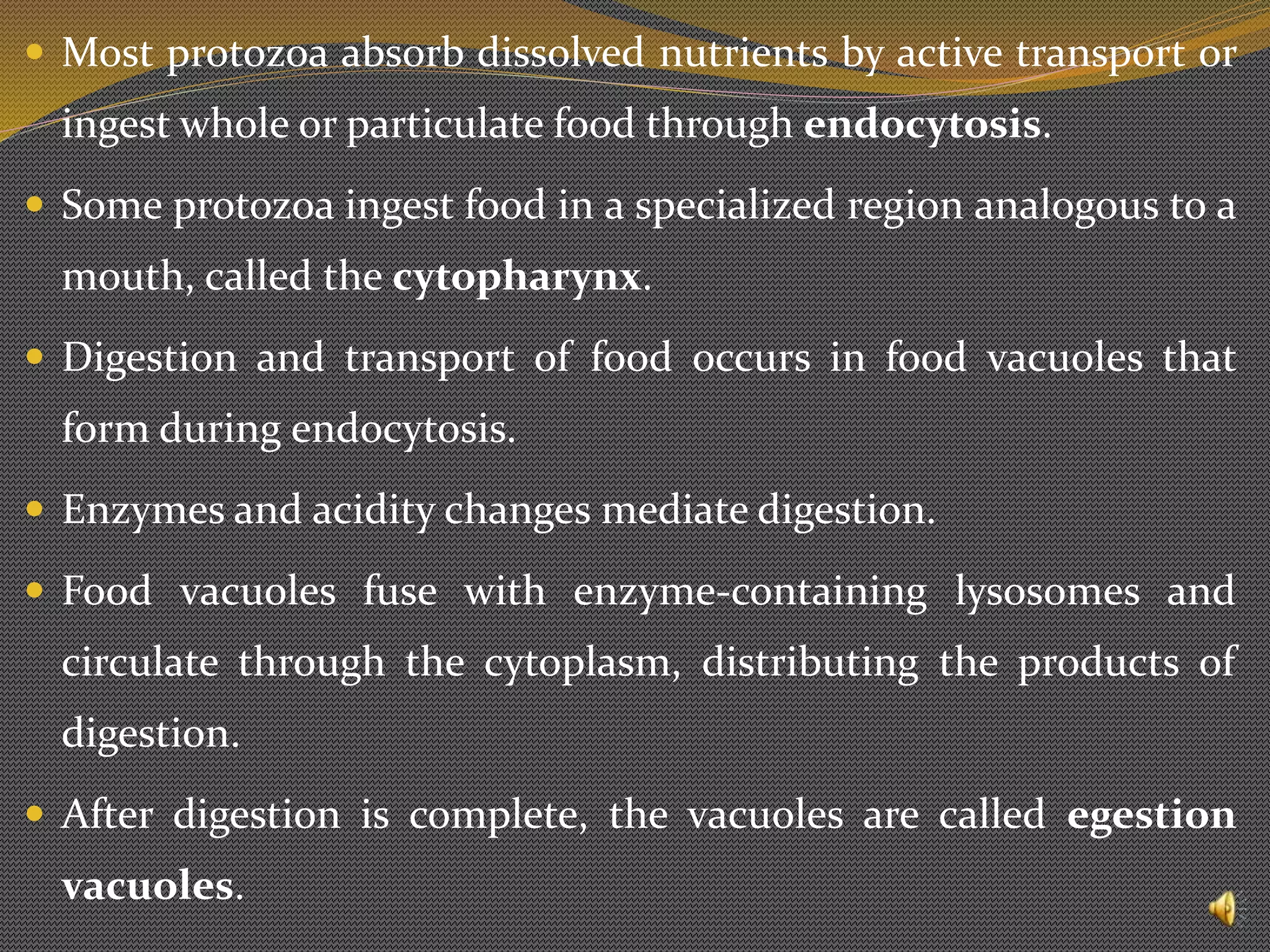 Animal like protist the protozoa | PPTX