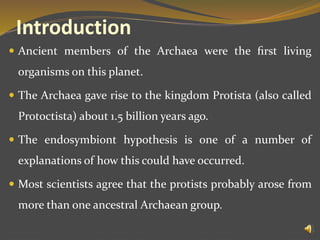 Animal like protist the protozoa | PPTX