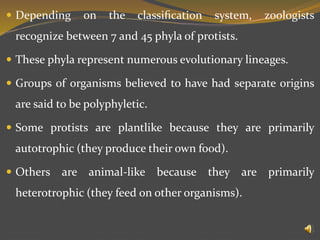 Animal like protist the protozoa | PPTX