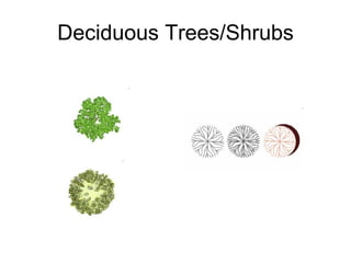 landscape design symbols | PPT