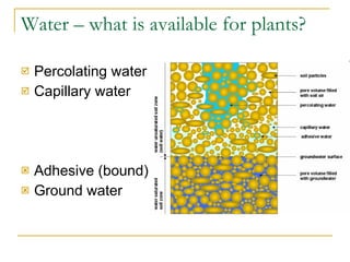 4 20 soil texture | PPT