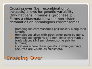 4.2 & 10.1 meiosis | PPT