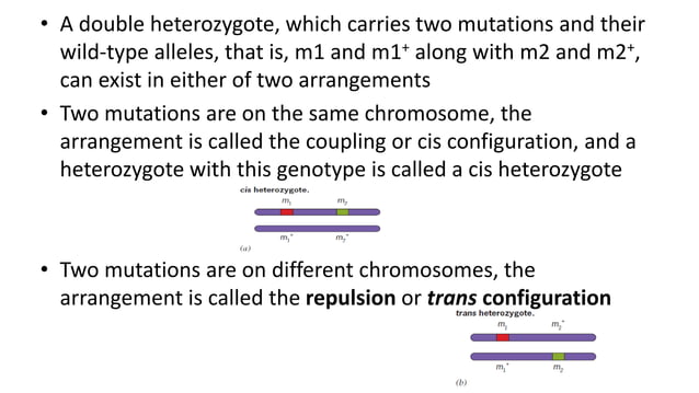Complementation test | PPT | Genetics | Science