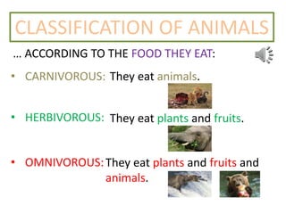 Animals classification | PPT