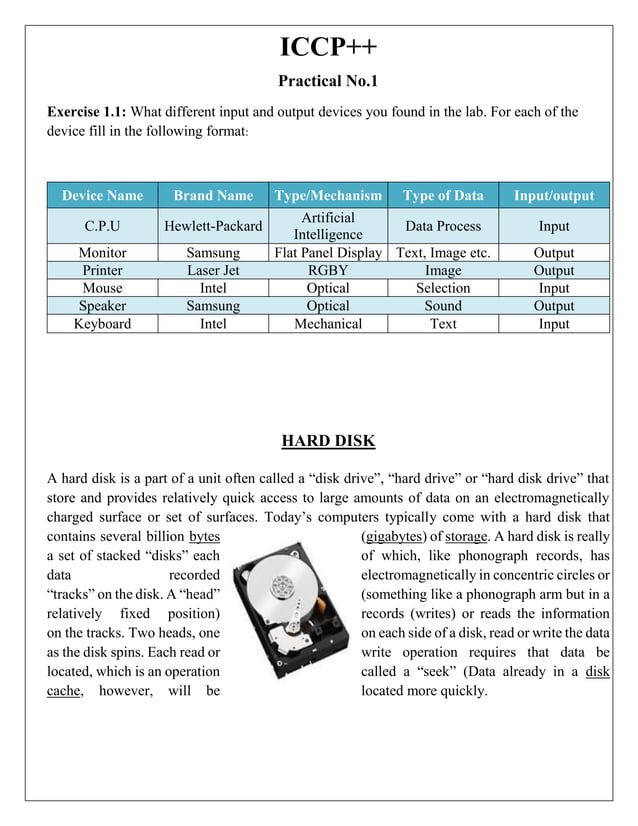 Introduction Microsoft Word | PDF