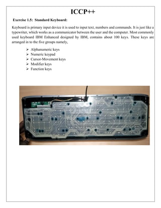 Introduction Microsoft Word | PDF